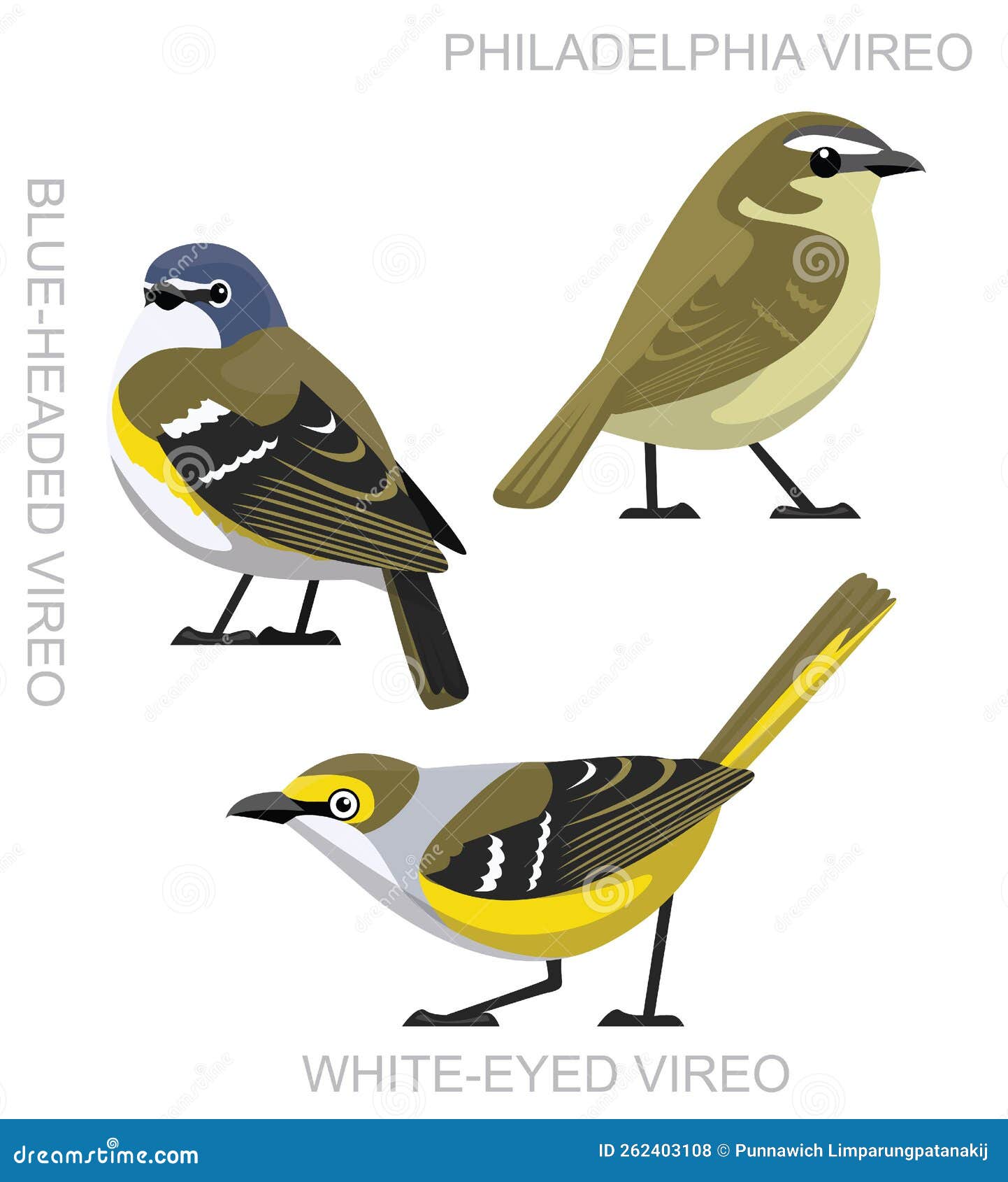 Cute Bird Vireo Set Cartoon Vector Stock Vector - Illustration of ...