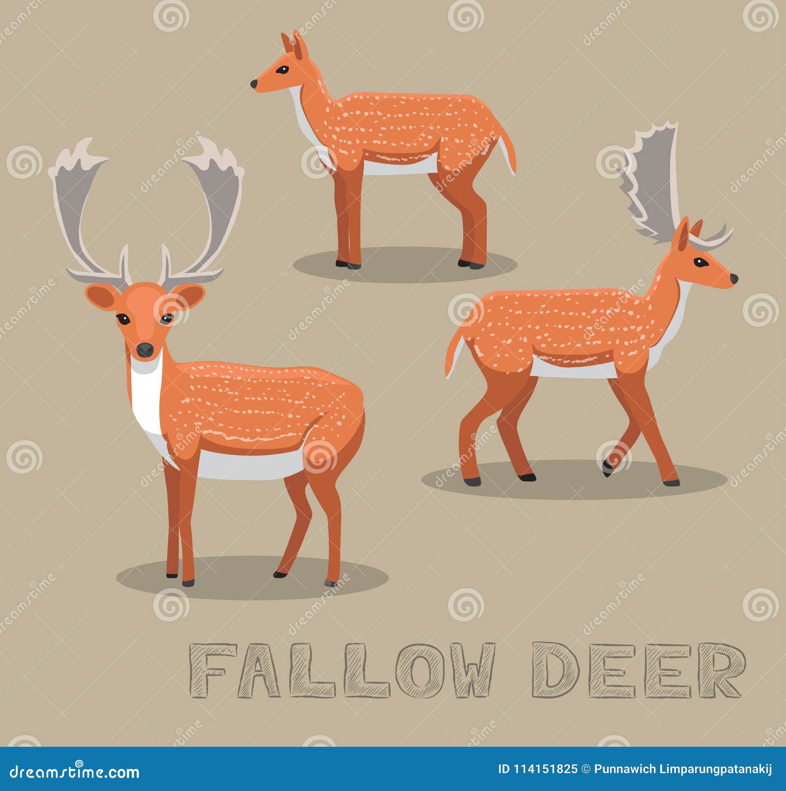 Deer Fallow Cartoon Vector Illustration Stock Vector - Illustration of ...