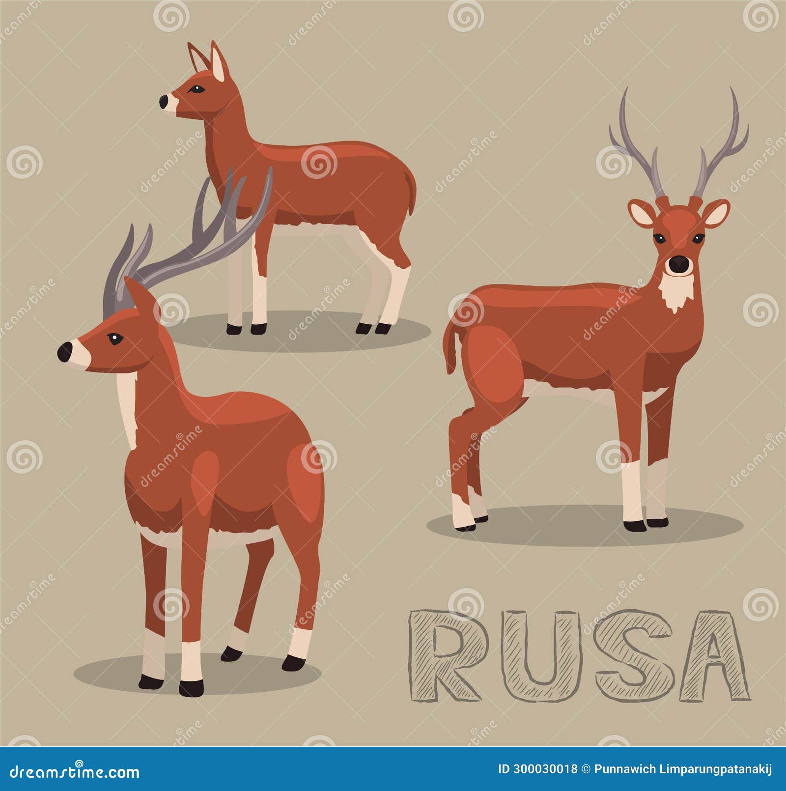 Deer Rusa Cartoon Vector Illustration Stock Vector - Illustration of ...