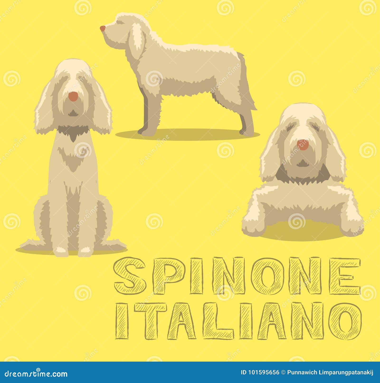 Spinone Italiano Breed Dog Isolated On A Clean White Background Royalty ... Spinone Italiano Breed Dog Isolated On A Clean White Background Royalty ...
