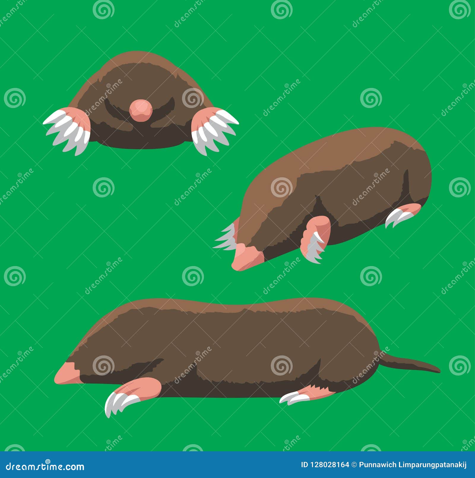 Mole Blind Green Background Poses Cartoon Vector Illustration Stock ...