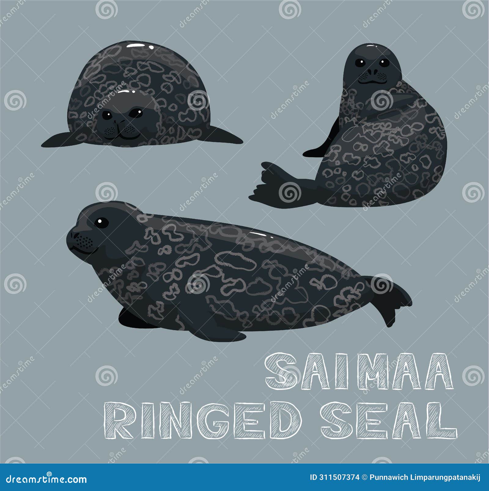 Saimaa Ringed Seal Cartoon Vector Illustration Stock Vector ...