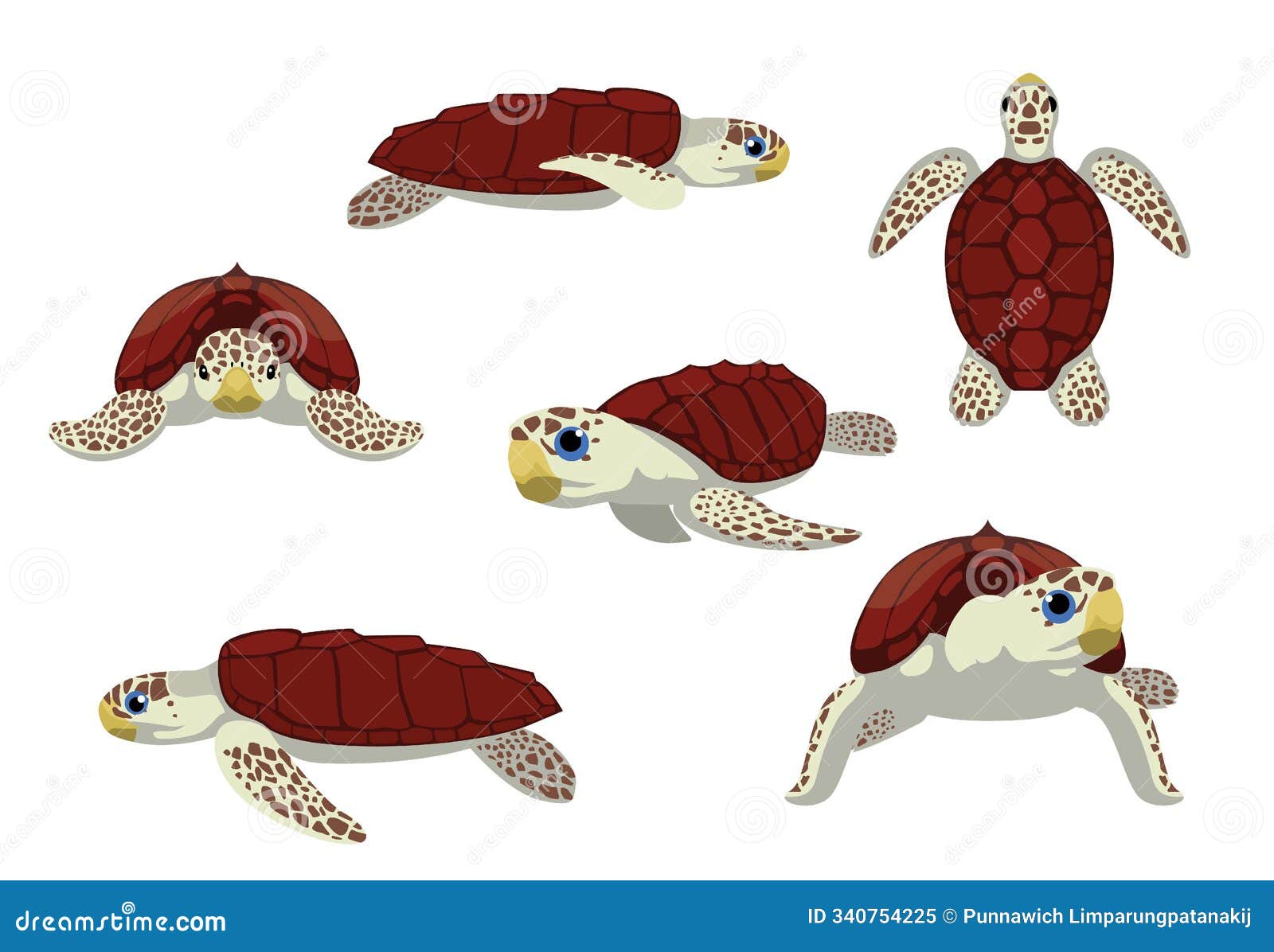 Sea Turtle Loggerhead Various Poses Vector Illustration Stock ...