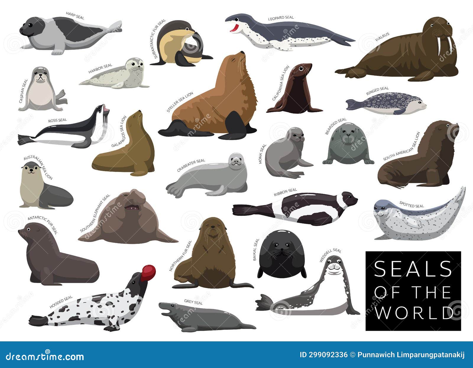 Seals of the World Set Cartoon Vector Character Stock Vector ...