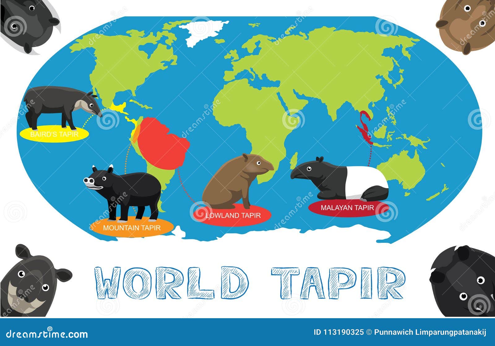 Baird`s Tapir Cartoon Background Seamless Wallpaper Vector Illustration ...