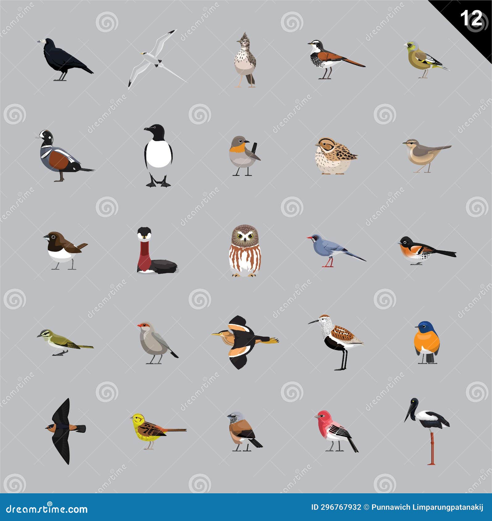 Various Birds Cartoon Vector Illustration 12 Stock Vector ...