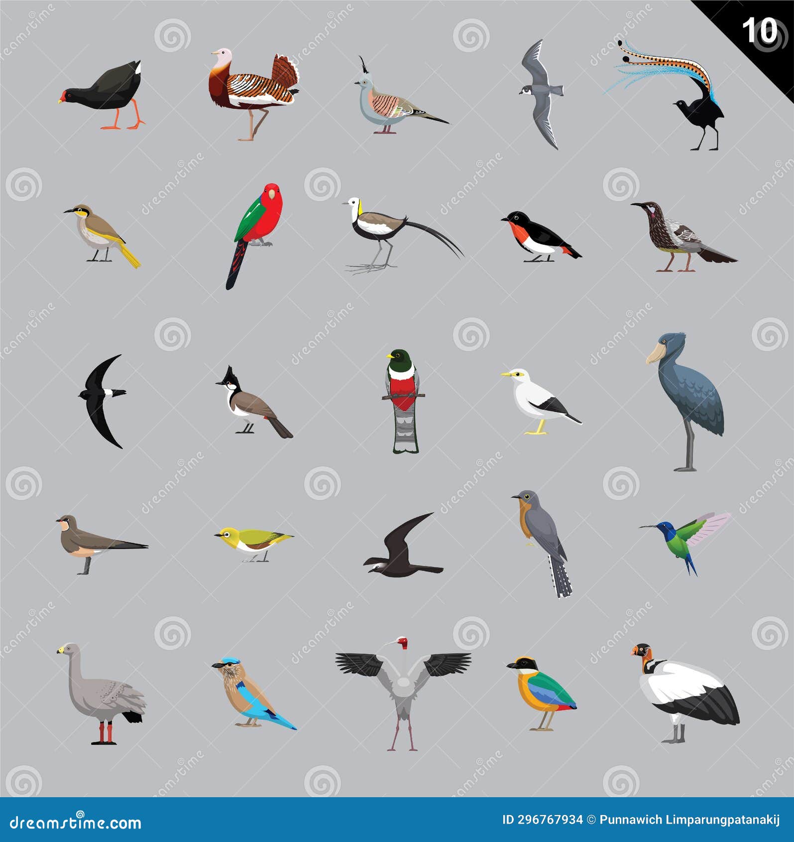 Various Birds Cartoon Vector Illustration 10 Stock Vector ...
