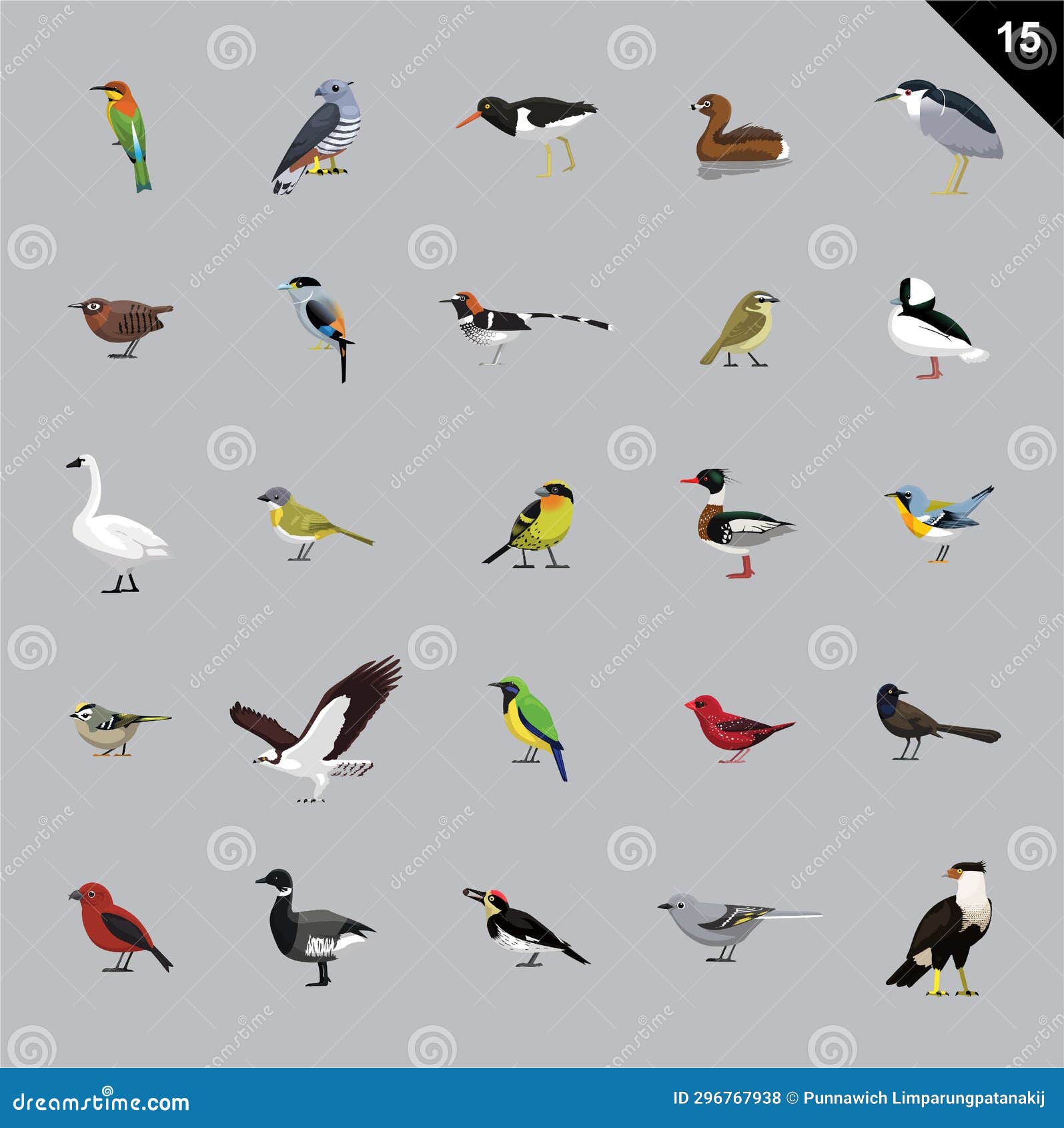Various Birds Cartoon Vector Illustration 15 Stock Illustration ...