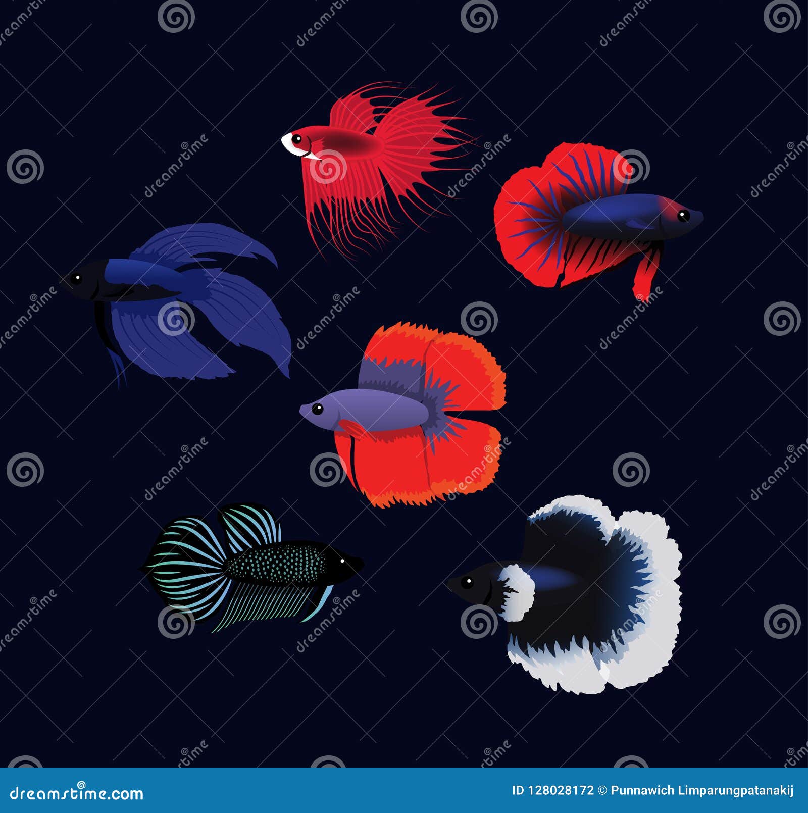 Various Thai Fighting Fish Poses Cartoon Vector Illustration Stock ...