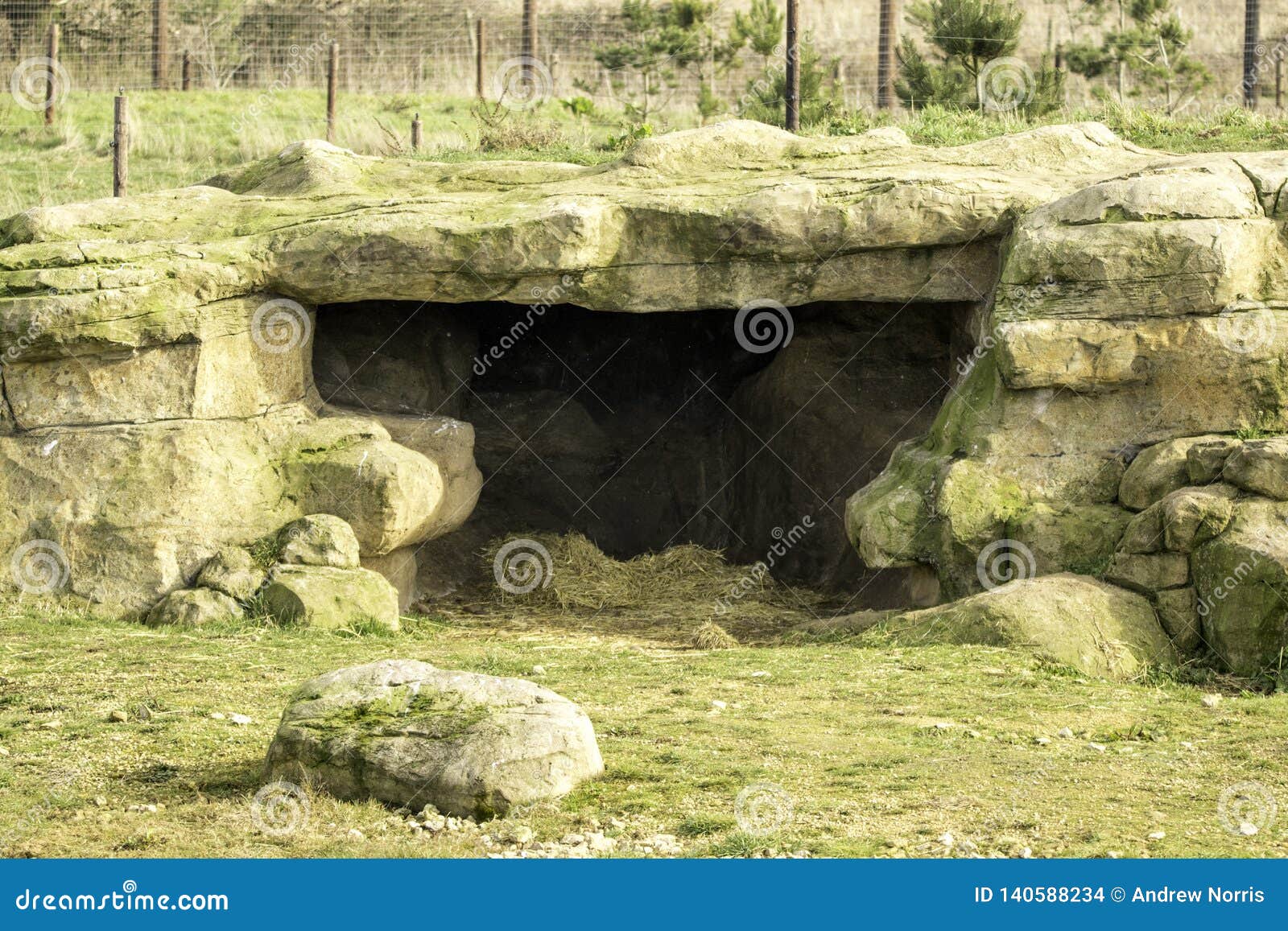 Animal Cave stock photo. Image of shelter, empty, large - 140588234