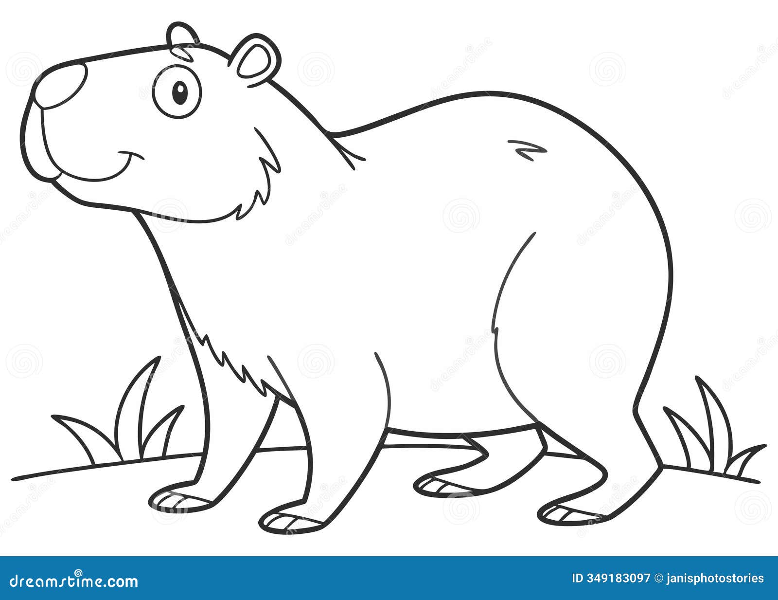 Cartoon Capybara Drawing Black and White Outlined Vector Illustration ...