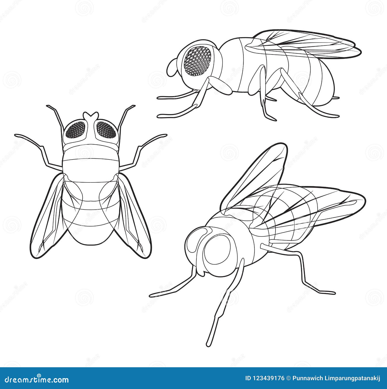 Insect Set Cute Fly Cartoon Vector Coloring Book Stock Vector ...