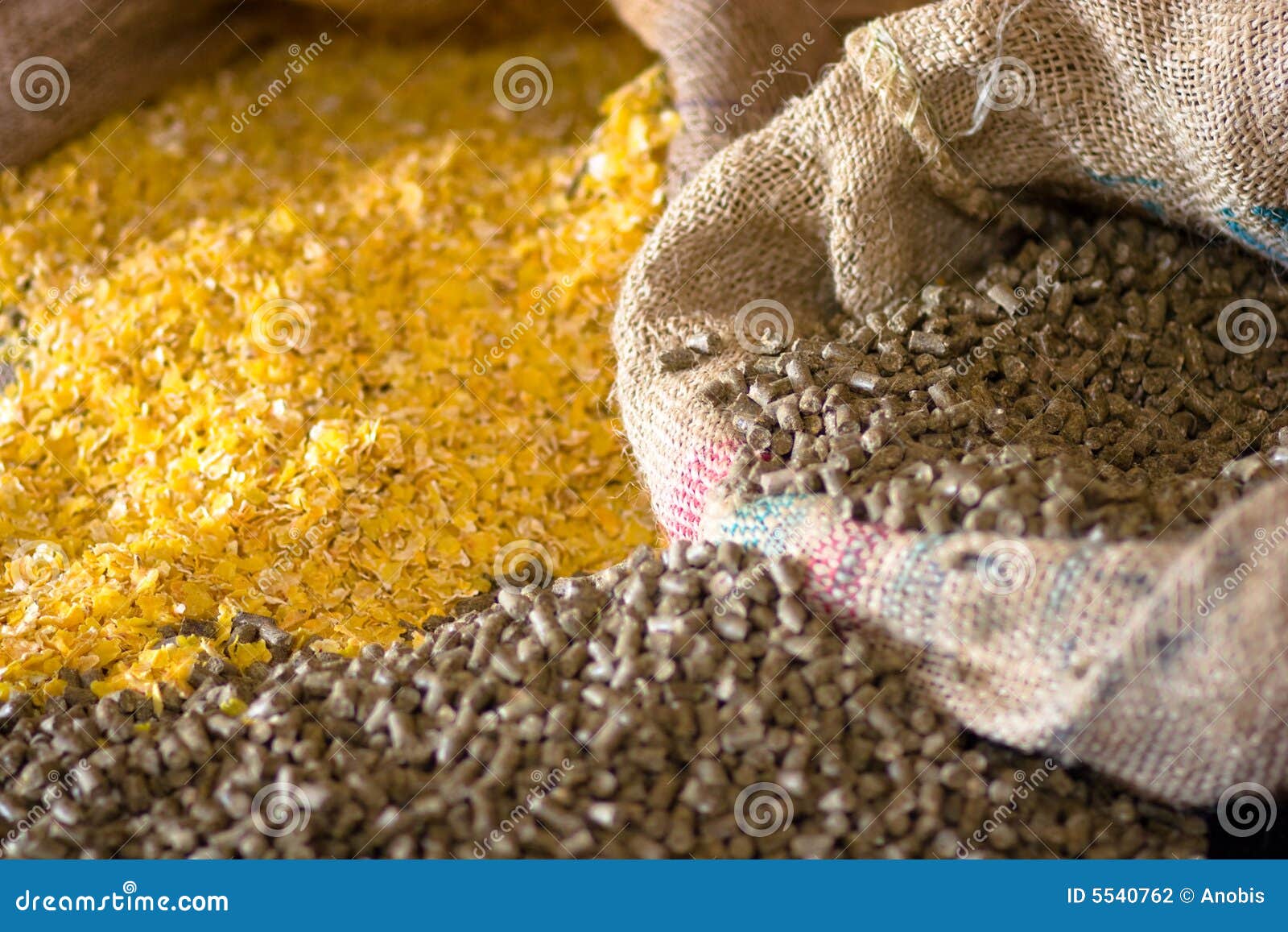 Animal corn food stock photo. Image of arrangement, backgrounds - 5540762