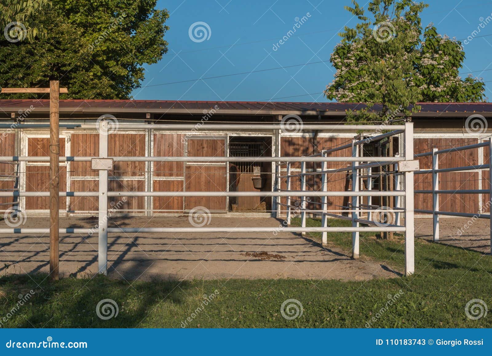 Animal Corral Farm: Field for Horses Stock Image - Image of horse ...