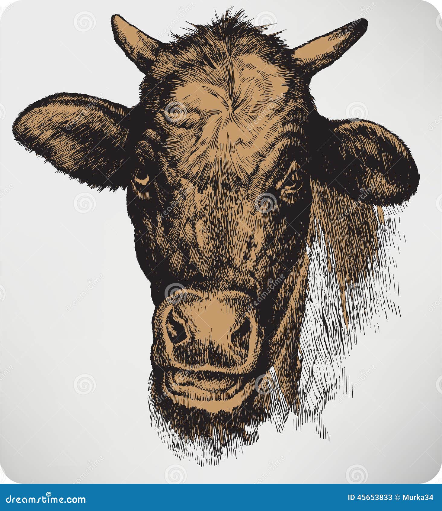 Animal Cow, Hand-drawing. Vector Illustration. Stock Vector ...