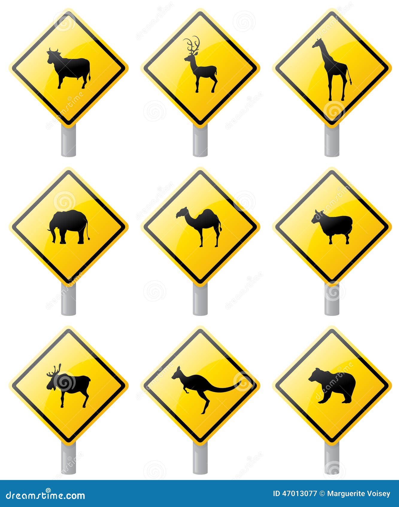 Kangaroo Crossing Sign Isolated On Transparent Background Vector ...