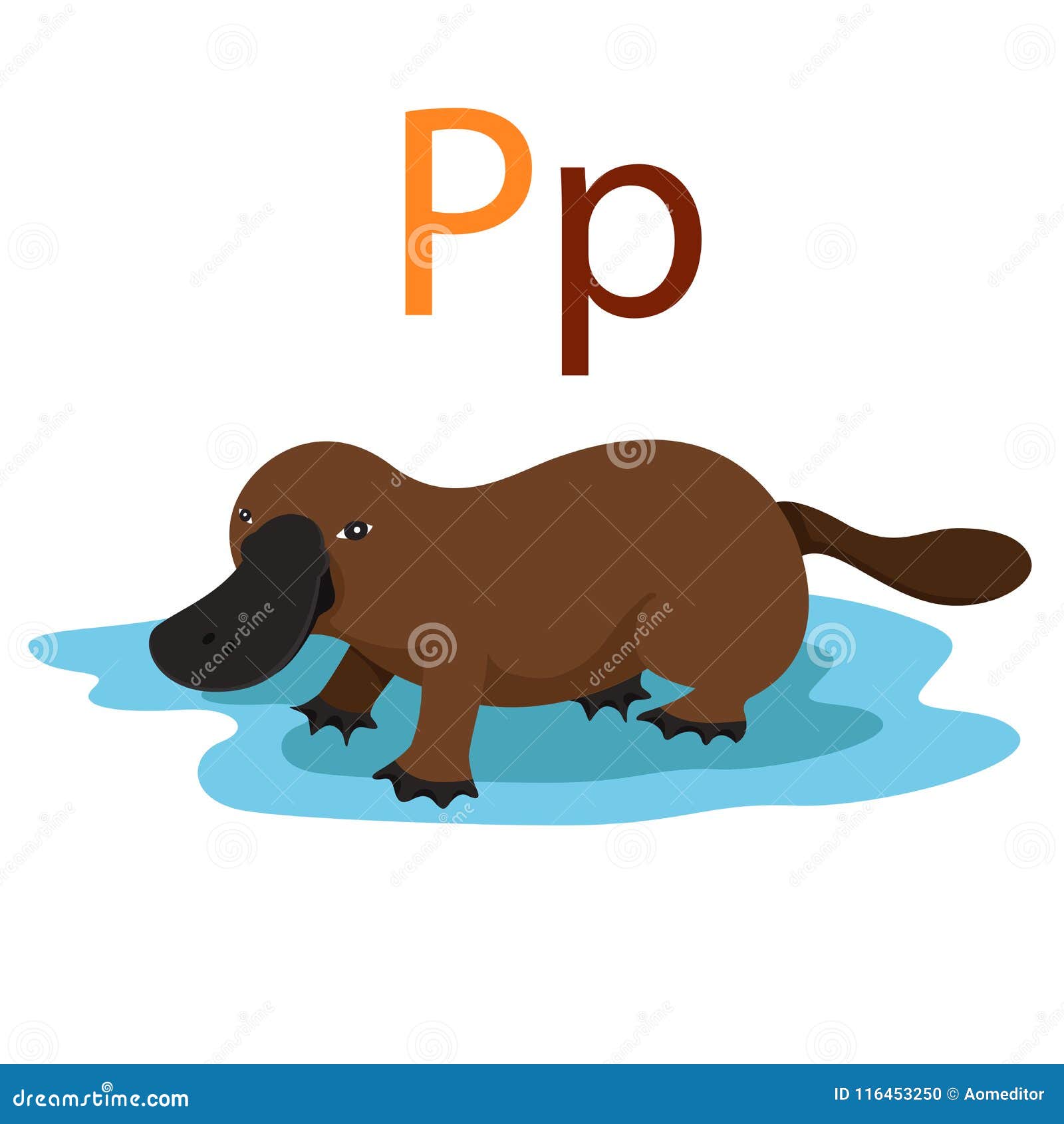 Animal Del Vector Del Alfabeto De P Ilustración del Vector ...