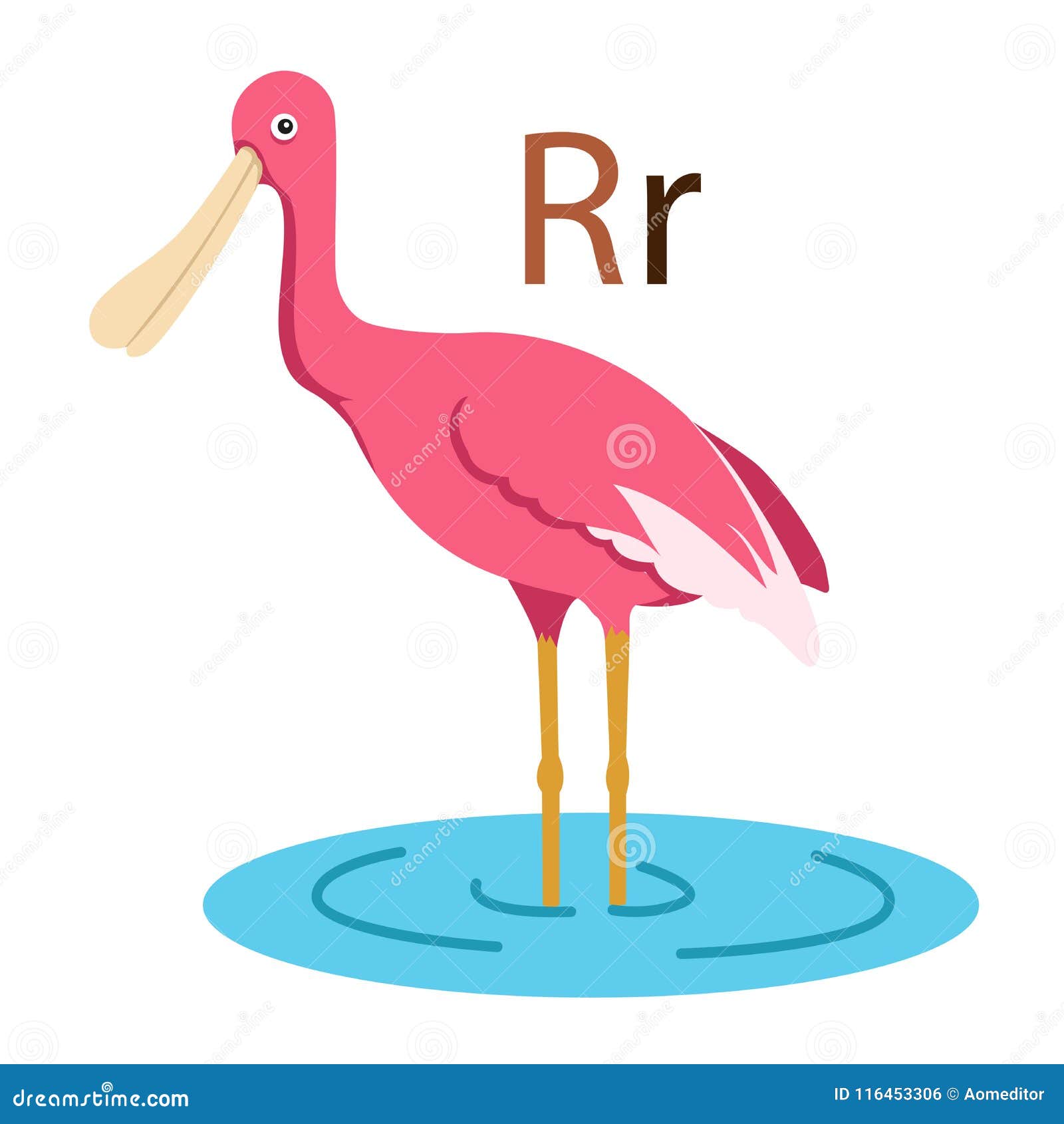 Animal Del Vector Del Alfabeto De R Ilustración del Vector ...