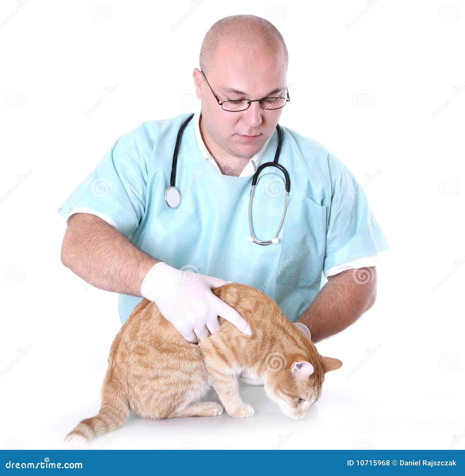 Animal doctor stock photo. Image of isolated, exam, clinic - 10715968