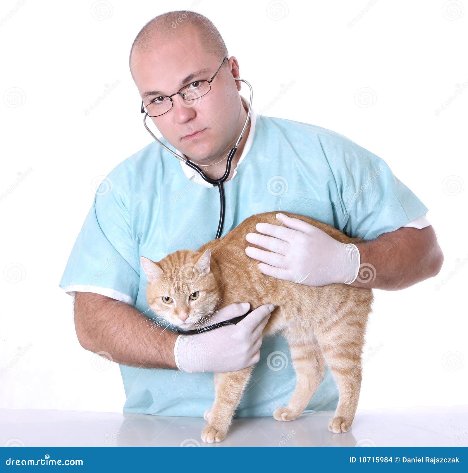 Animal doctor stock photo. Image of doctor, specialist - 10715984
