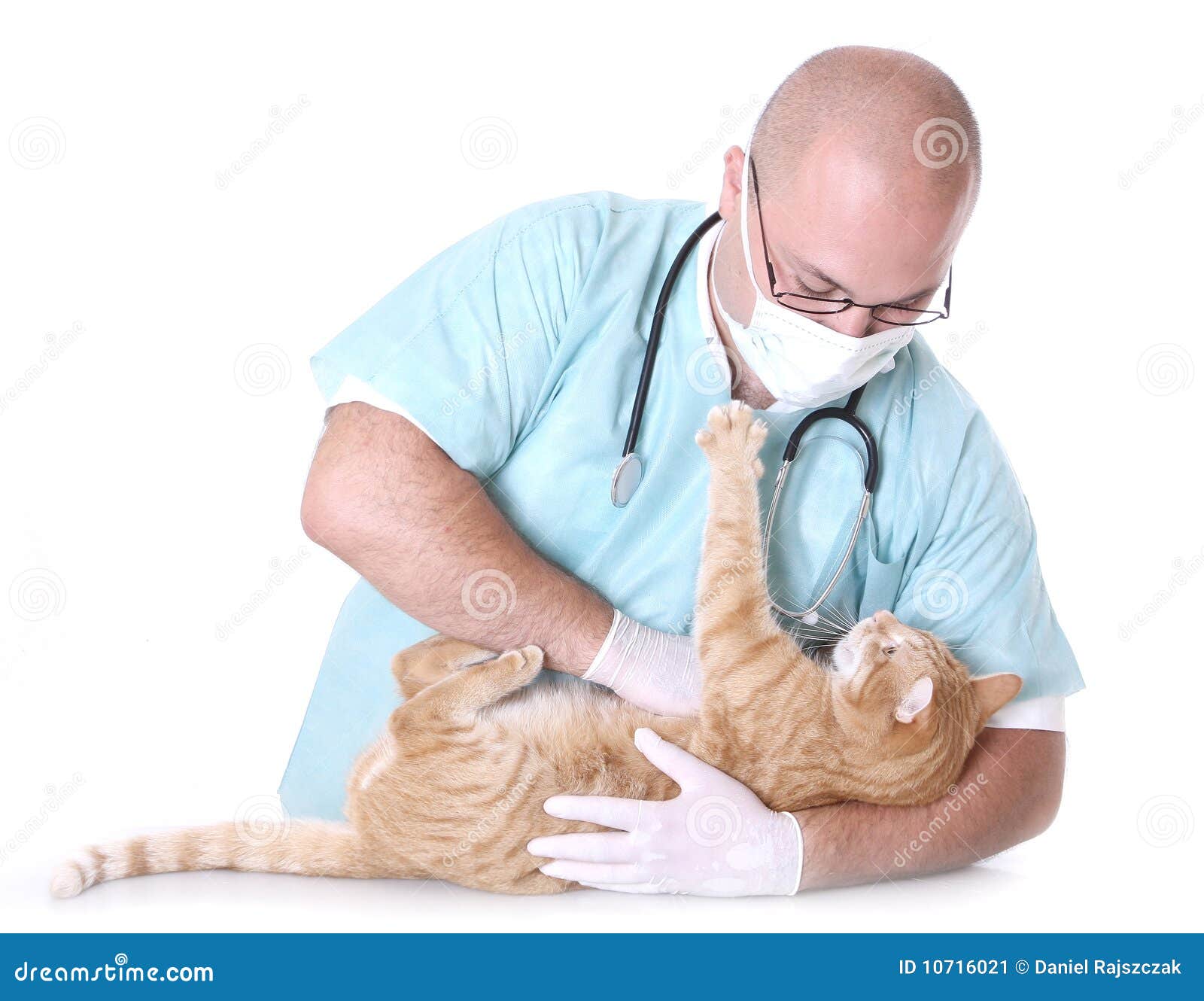 Animal doctor stock image. Image of people, care, portrait - 10716021