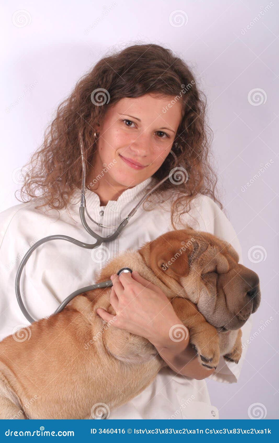 Animal doctor 8 stock photo. Image of listen, long, cream - 3460416