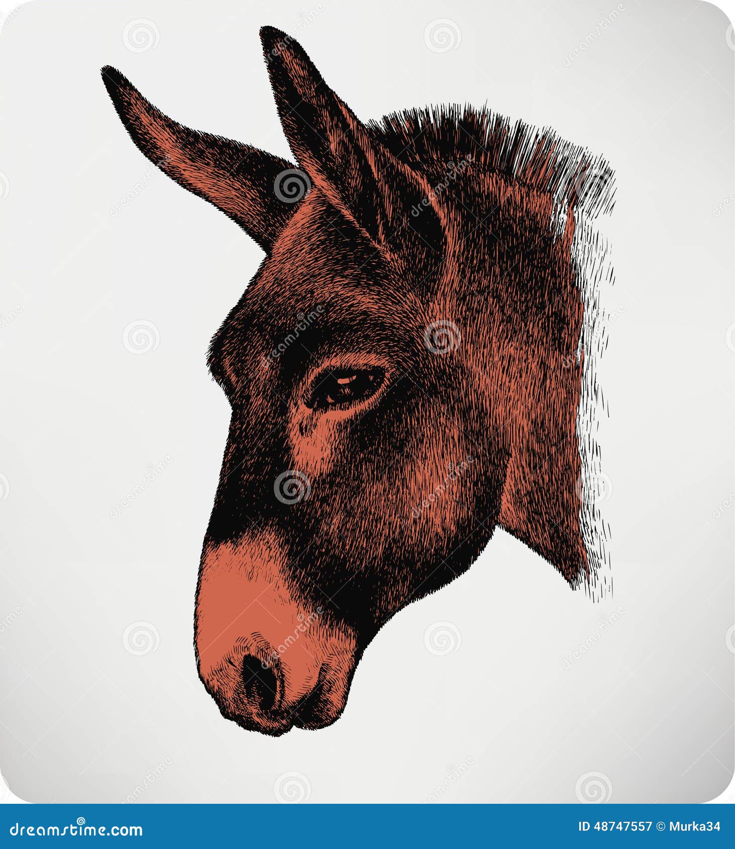 Animal Donkey, Hand-drawing. Vector Illustration. Stock Vector ...