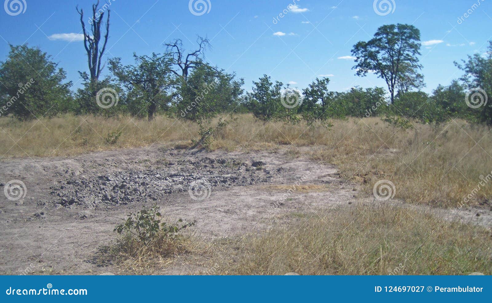 ANIMAL DUNG PIT USED by WHITE RHINOS Stock Image - Image of ...