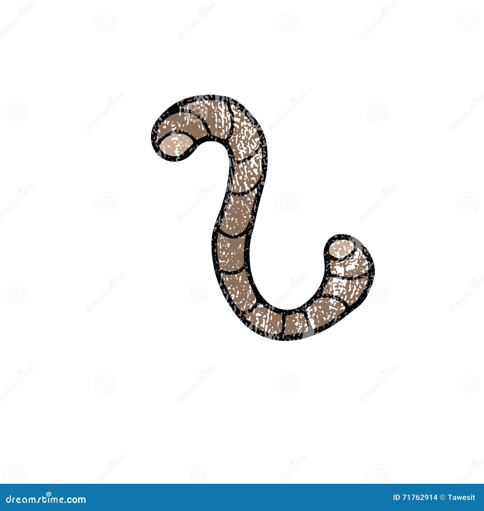 Common Earthworm Illustration Against White Background Royalty-Free ...