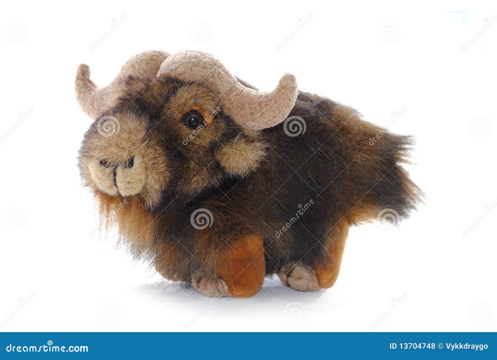 Animal enchido dos iaques foto de stock. Imagem de cabelo - 13704748