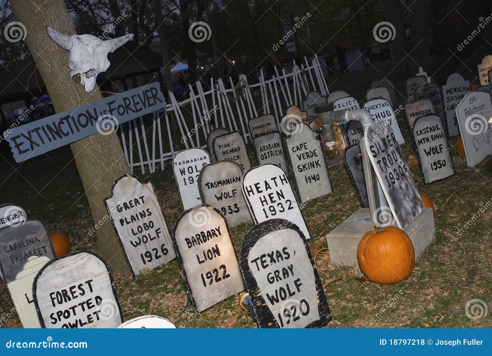 Animal Extinction Grave Site Stock Photo - Image of extinct, dead: 18797218
