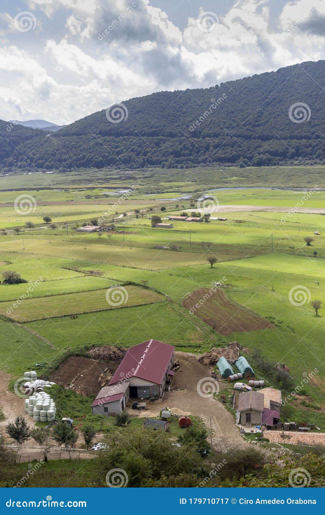 Animal farm stock image. Image of livestock, view, environment - 179710717