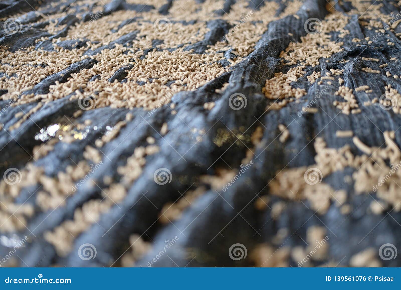 Animal Feed. Mixed Fodder Pellet for Fish Stock Photo - Image of ...