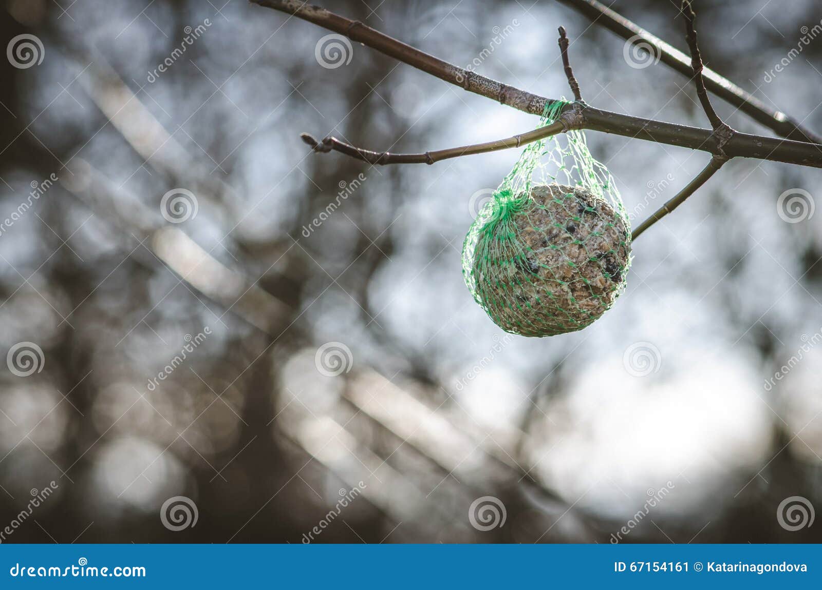 Animal fodder in tree stock image. Image of animal, nature - 67154161