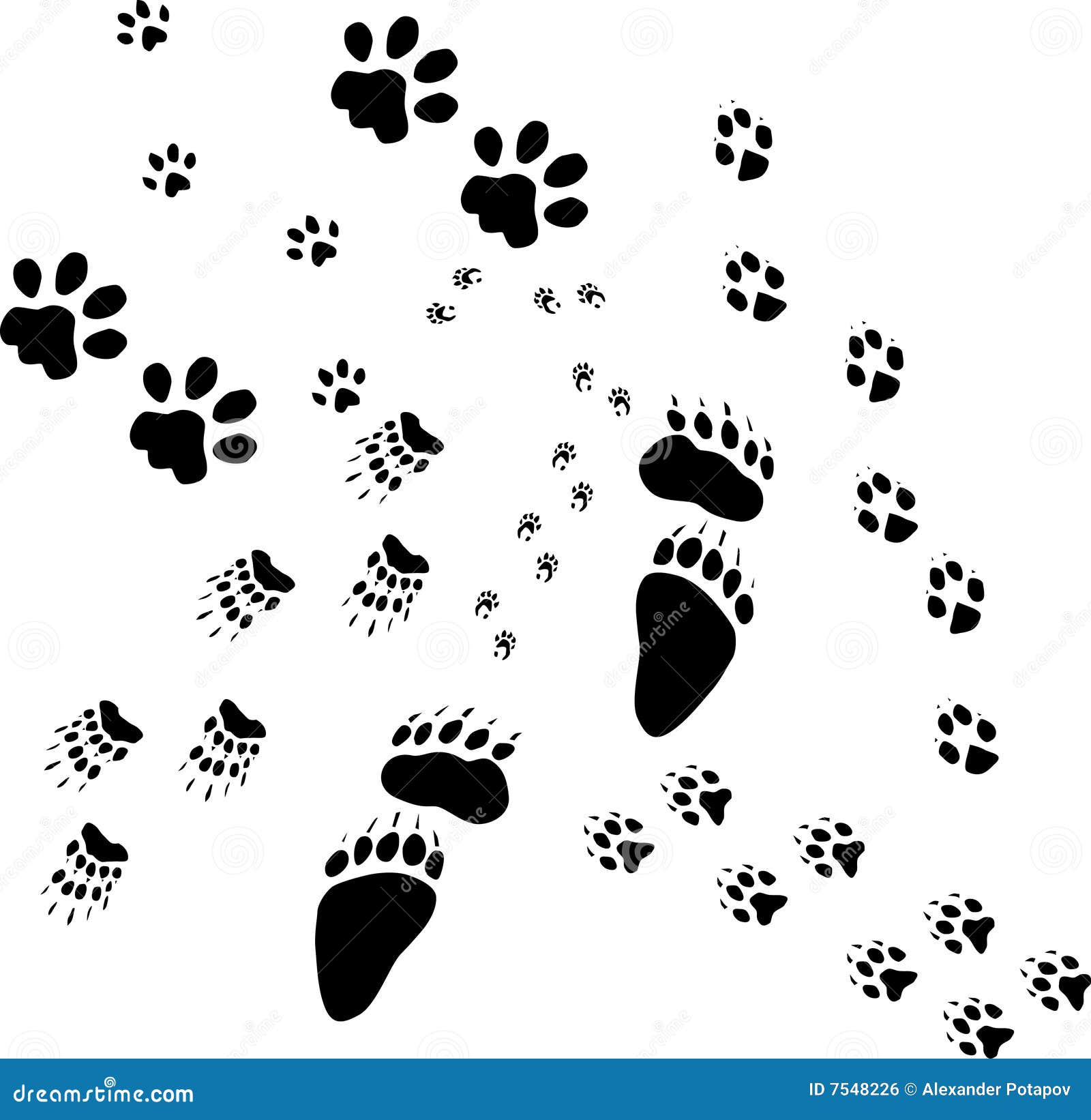 Animal footpath stock illustration. Illustration of pattern - 7548226