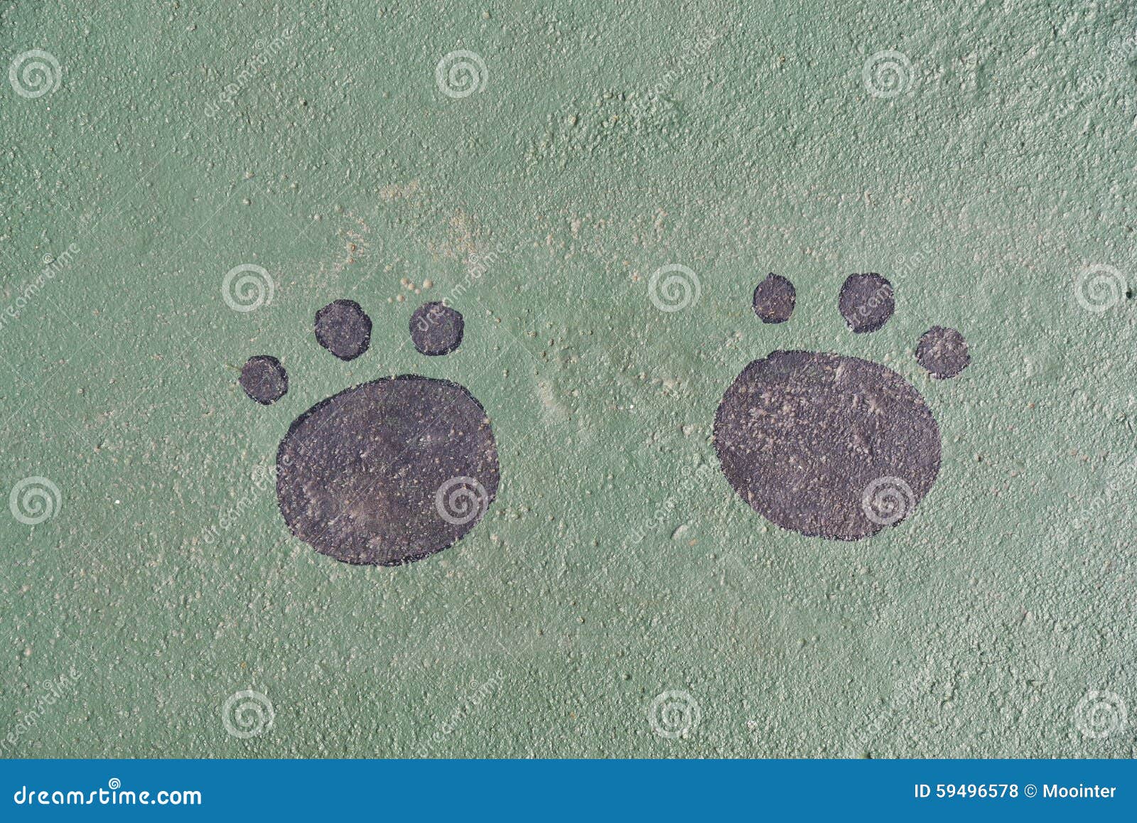 Animal footprint. stock photo. Image of metal, nature - 59496578