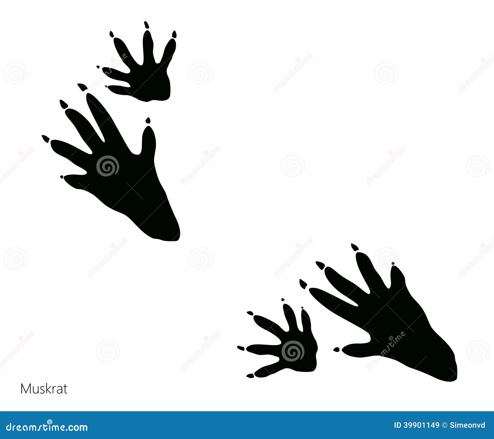 Animal Footprints Cartoon Vector | CartoonDealer.com #39901149