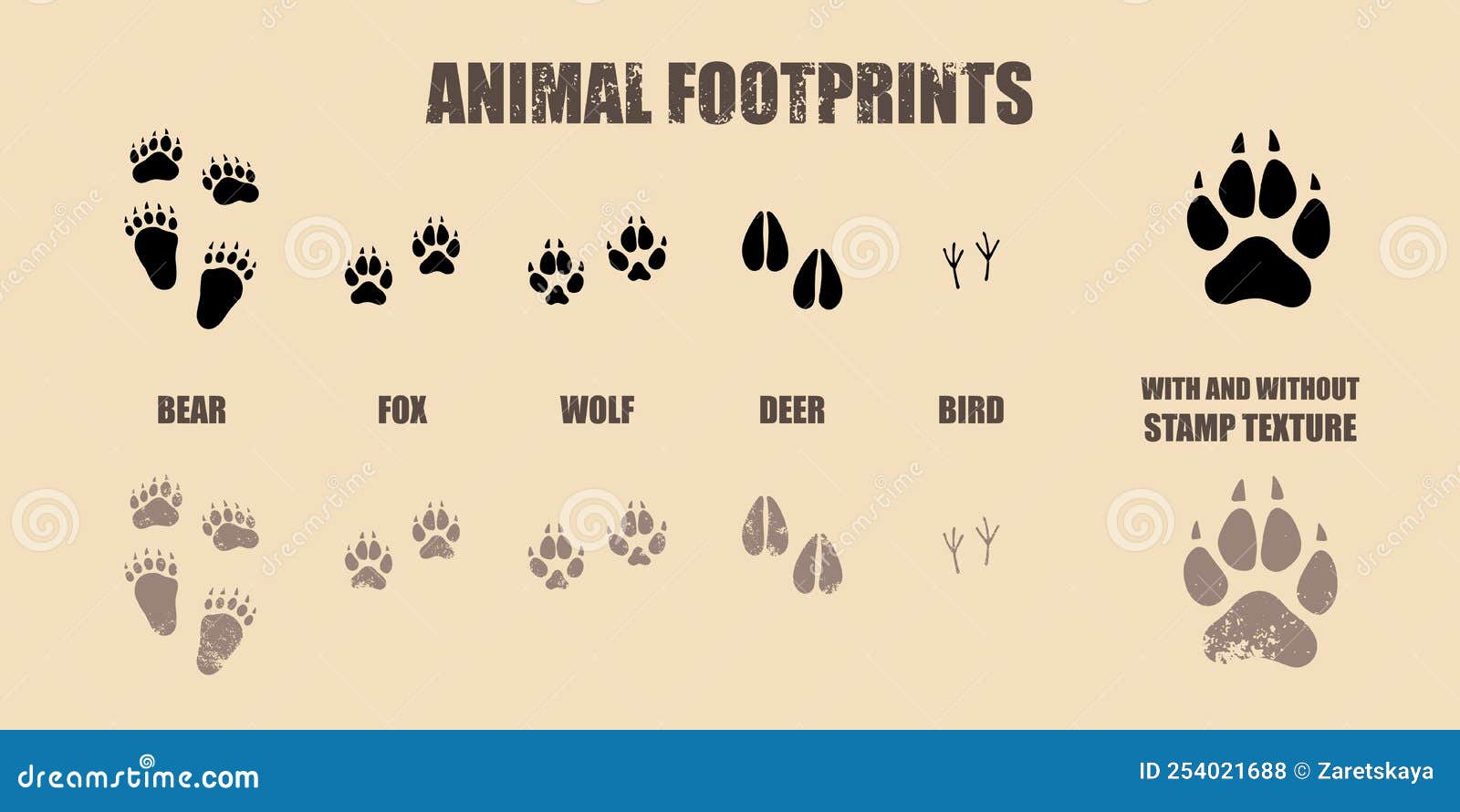 Animal Footprints with Stamp Texture Stock Illustration - Illustration ...