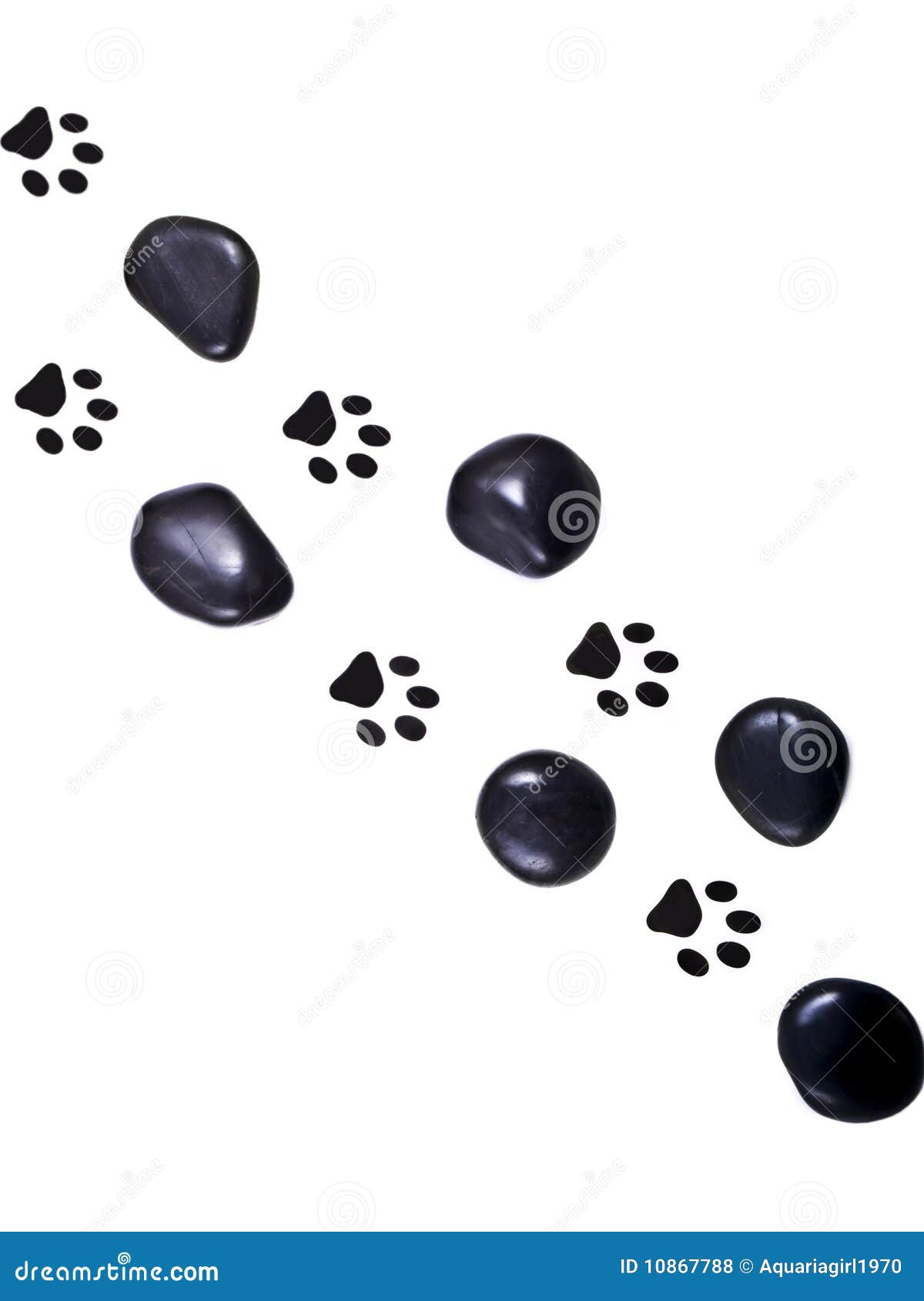 Animal Footsteps stock photo. Image of stones, animal - 10867788