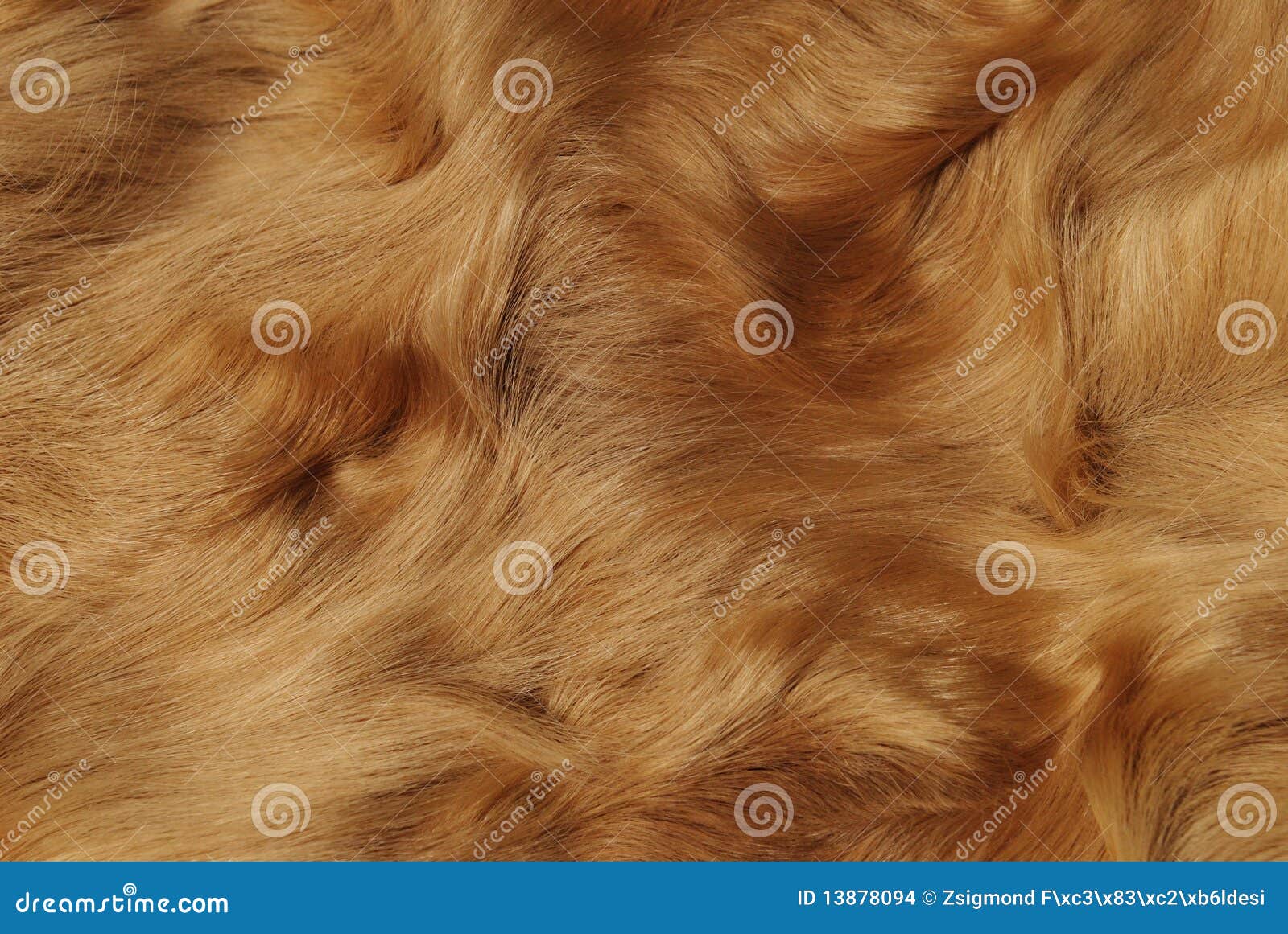 Animal fur stock photo. Image of skin, wild, brown, animals - 13878094