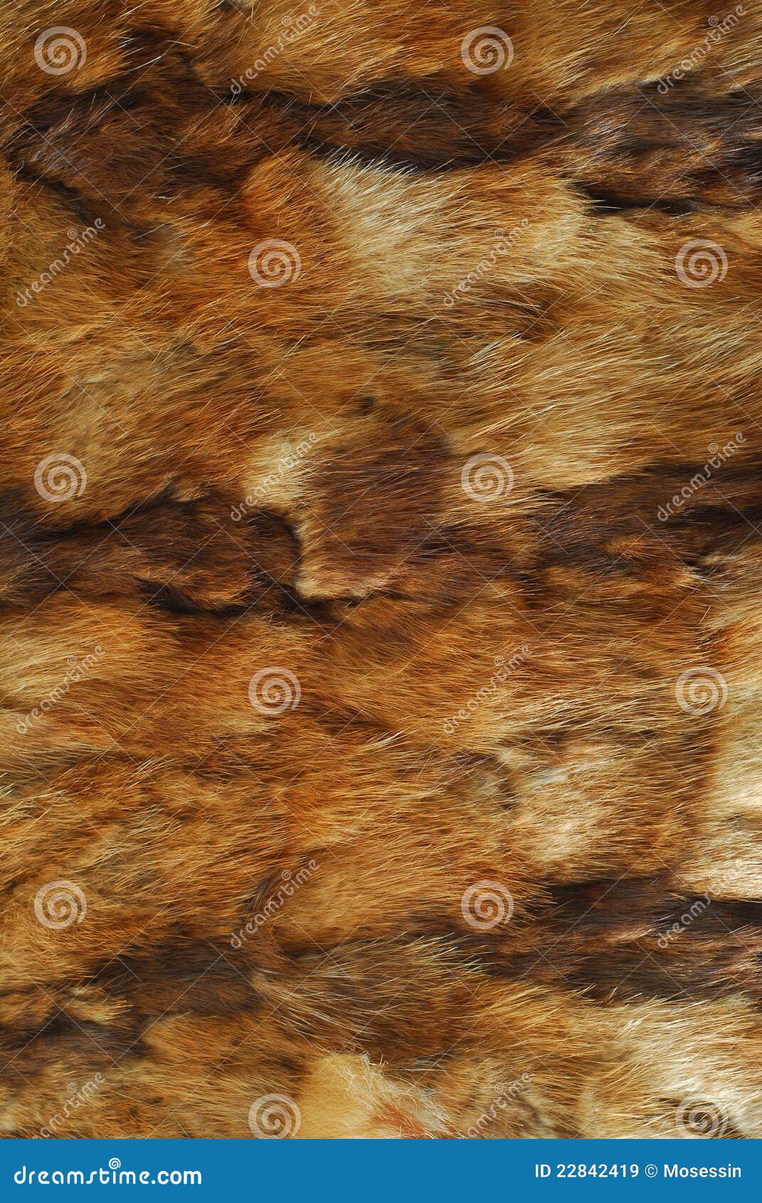 Animal fur pattern stock image. Image of pattern, dark - 22842419