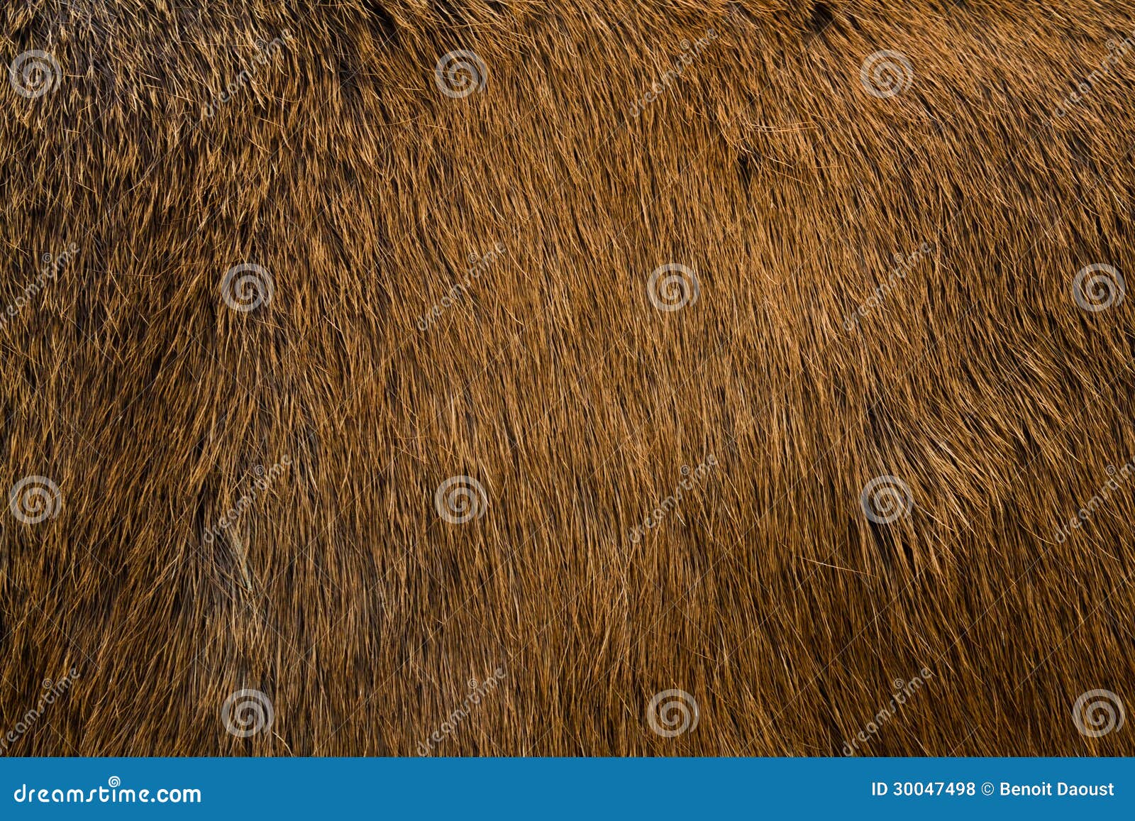 Animal fur texture stock photo. Image of artificial, dark - 30047498