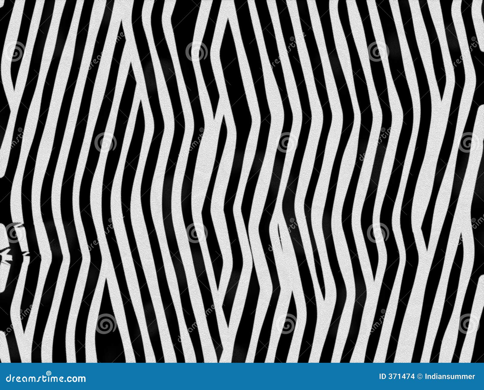 Animal fur texture- zebra stock illustration. Illustration of furry ...