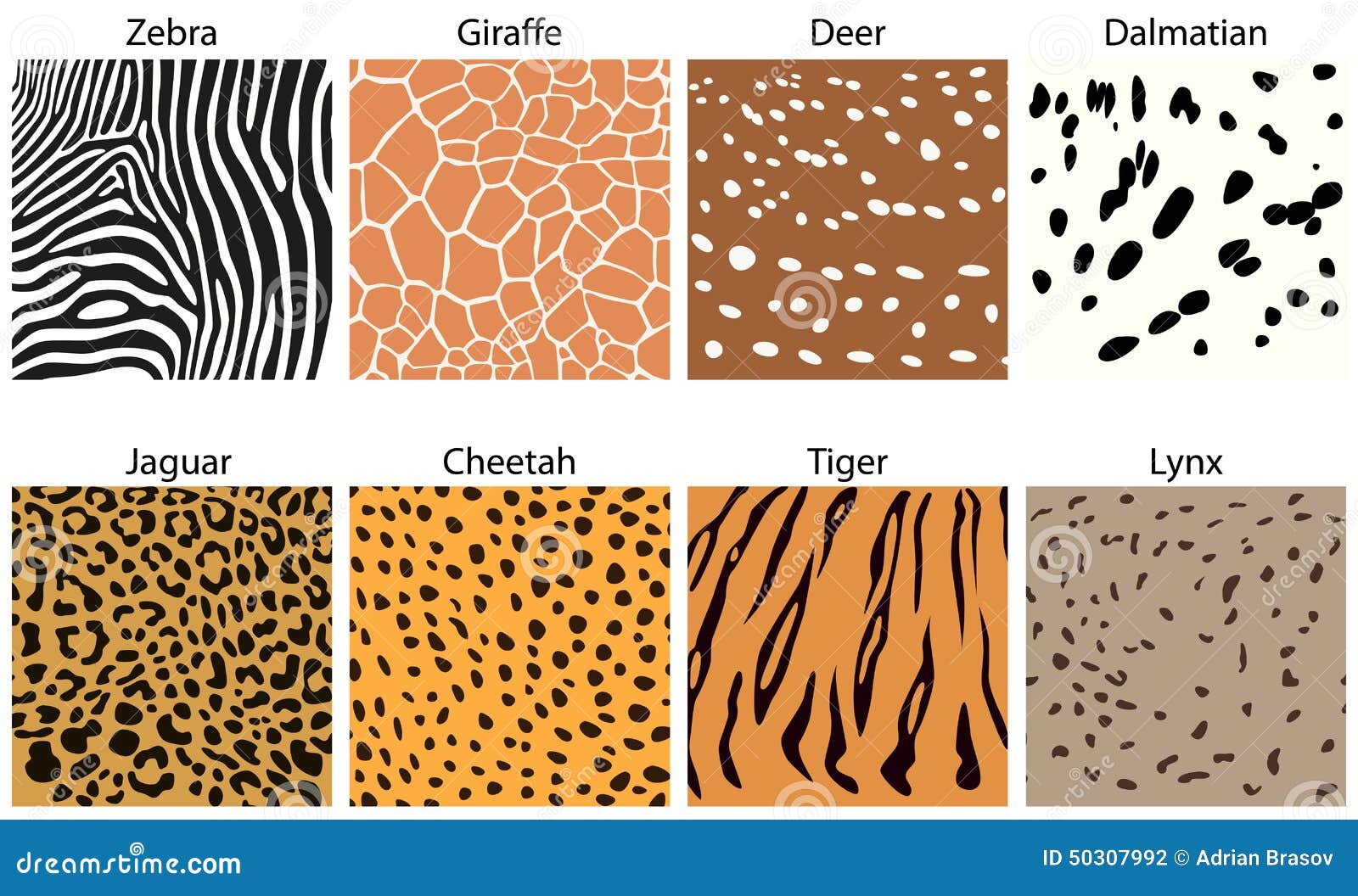 Animal fur textures stock vector. Image of spots, seamless - 50307992