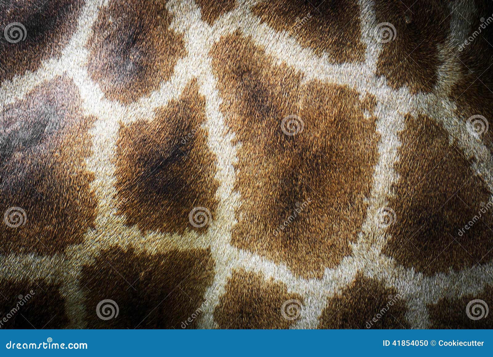 Giraffe Pattern Royalty-Free Stock Photography | CartoonDealer.com #391271