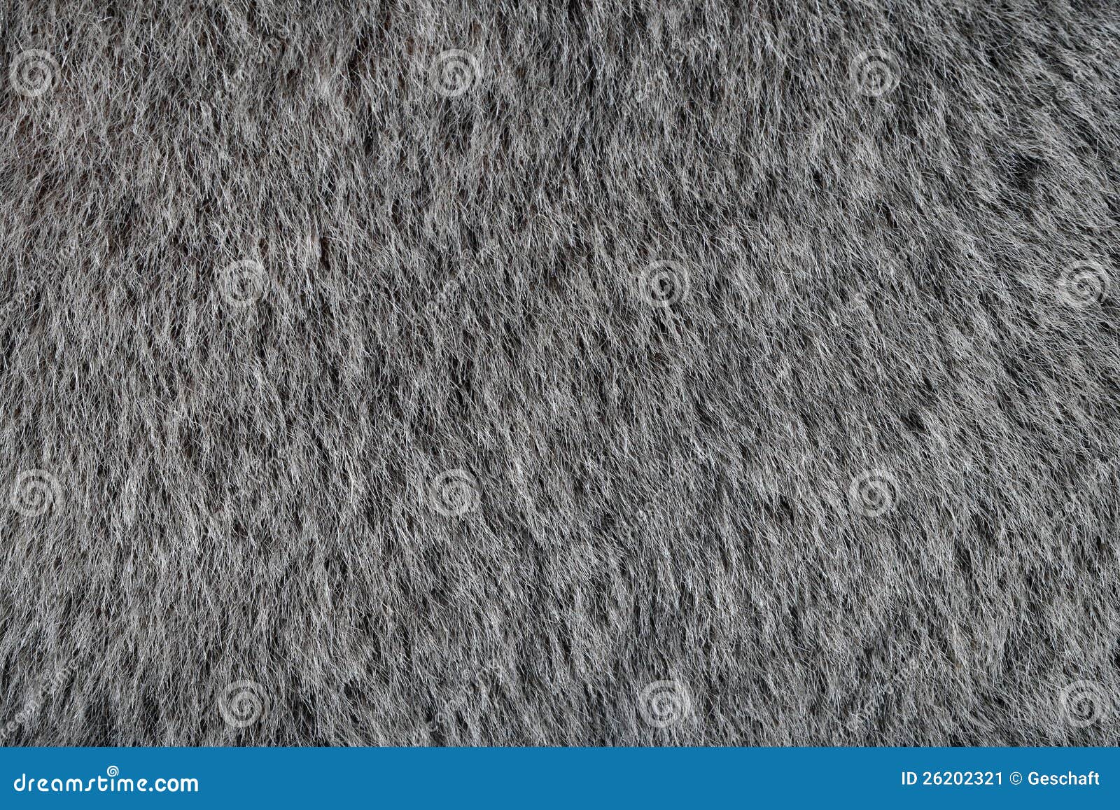 Animal Gray Fur Texture stock image. Image of dark, effect - 26202321