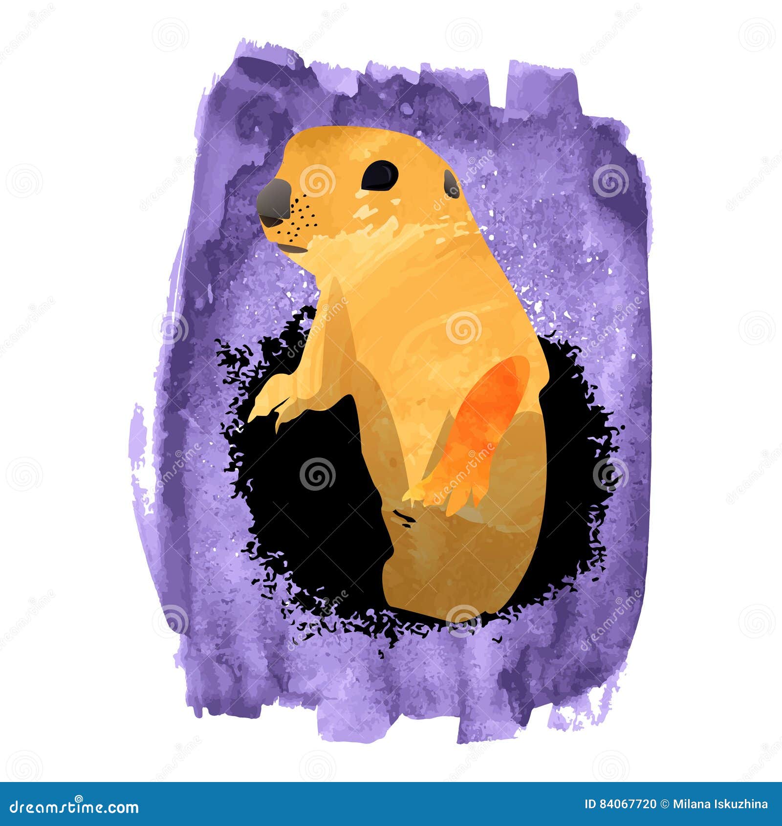 Animal Groundhog doodle stock illustration. Illustration of canada ...