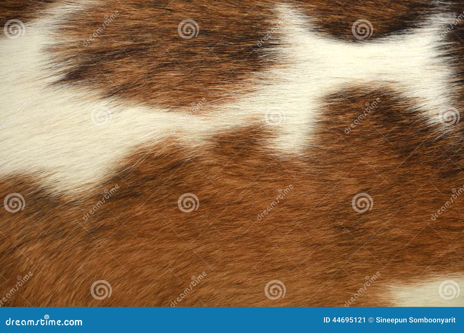 Animal hair texture stock image. Image of soft, hair - 44695121