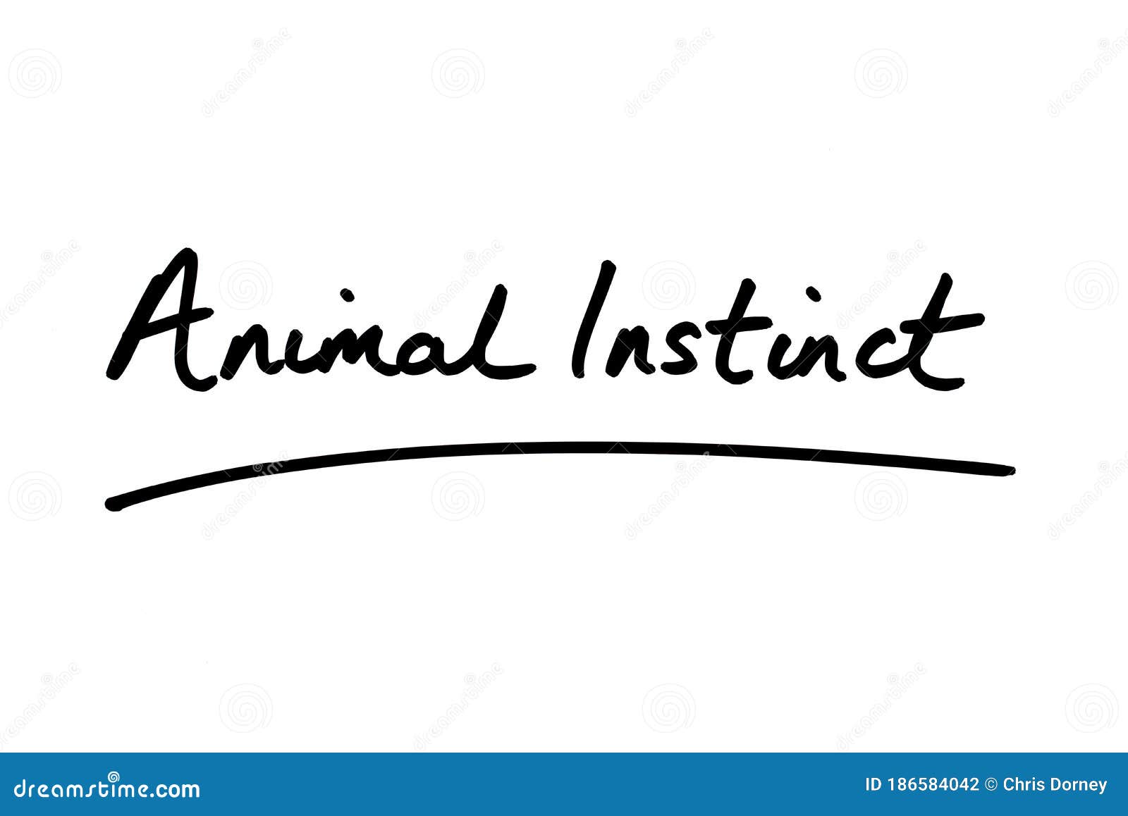 Animal Instinct From Cat To Fish Cartoon Vector | CartoonDealer.com ...