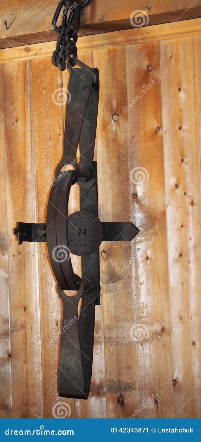 Animal Leg Trap editorial photo. Image of trapper, wildlife - 42346871